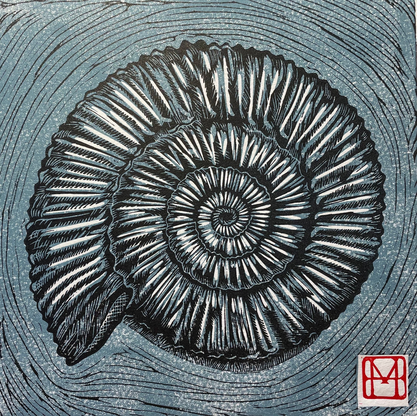 Ammonite Linocut Print – HuPa Linocuts